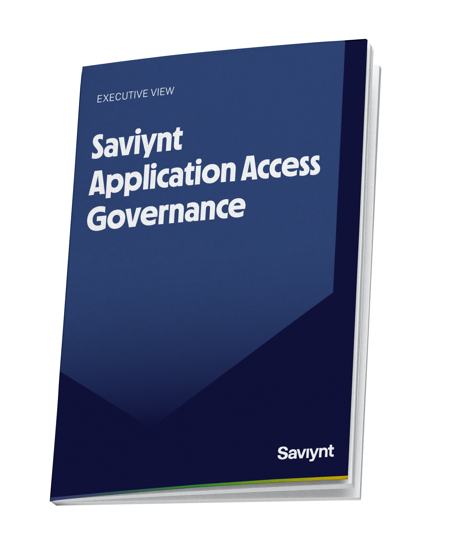 Application Access Governance Solutions